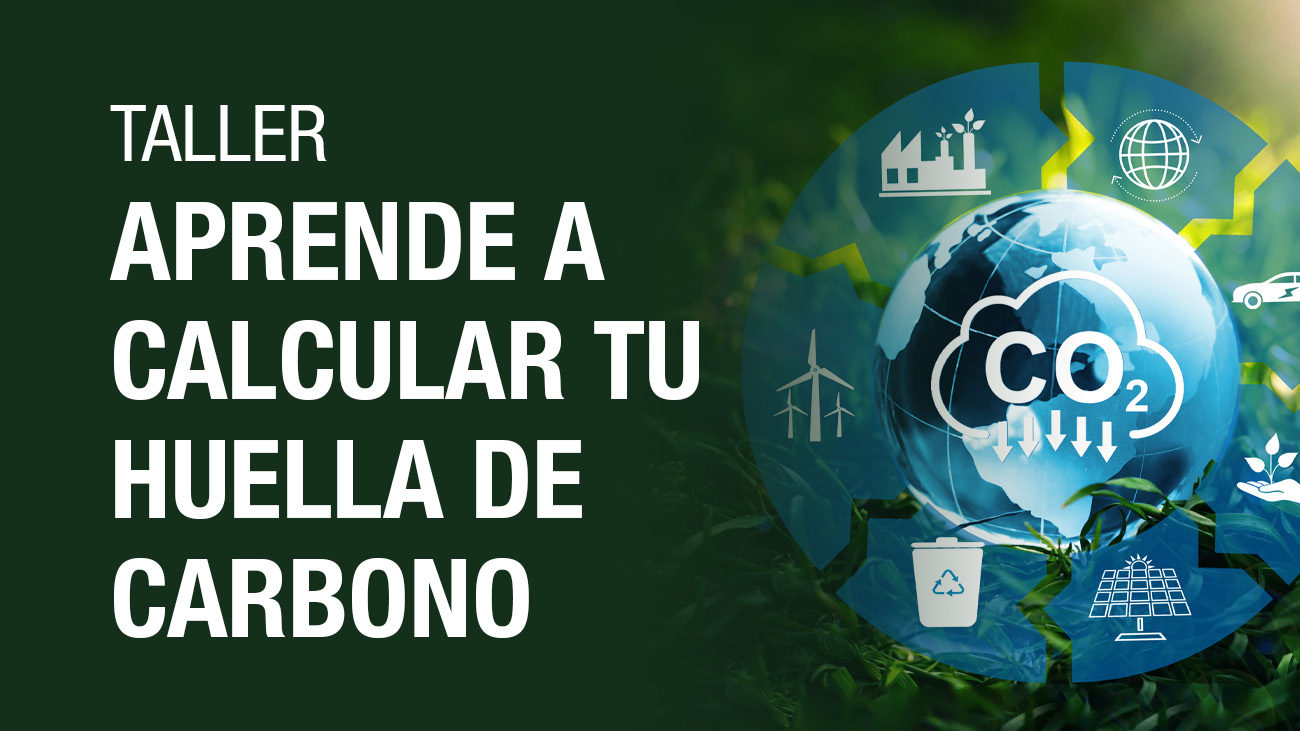 Aprende a calcular tu huella de carbono – COIINA
